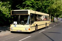 Traditionsbus Berlin: MAN EN